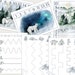 Polar Bear Unit Study: Life Cycle, Anatomy, Homeschool Printable ...