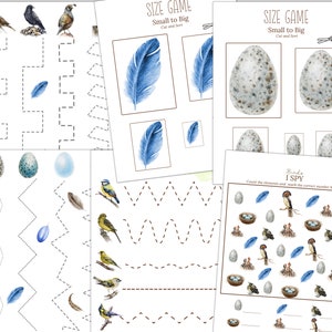 BIRD Unit Study, Life Cycle, Anatomy, Nature Study, Science ...