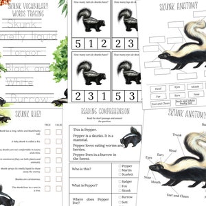SKUNK Unit Study, Life Cycle, Anatomy, Nature Study, Science ...