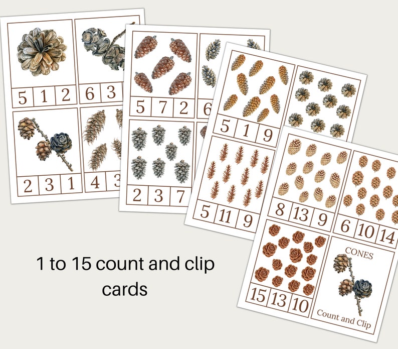 CONIFER Cones Unit Study, Vocabulary, Anatomy, Handwriting, Homeschool ...