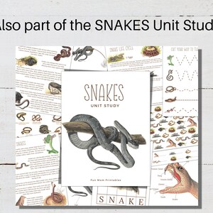 SNAKES Mini Poster, Fact Cards and 3 Part Cards, Nature, Digital DIY ...