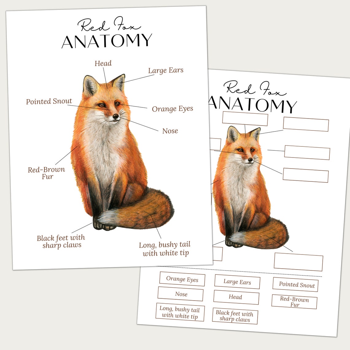 WINTER Nature Unit Study Winter Activities Handwriting - Etsy