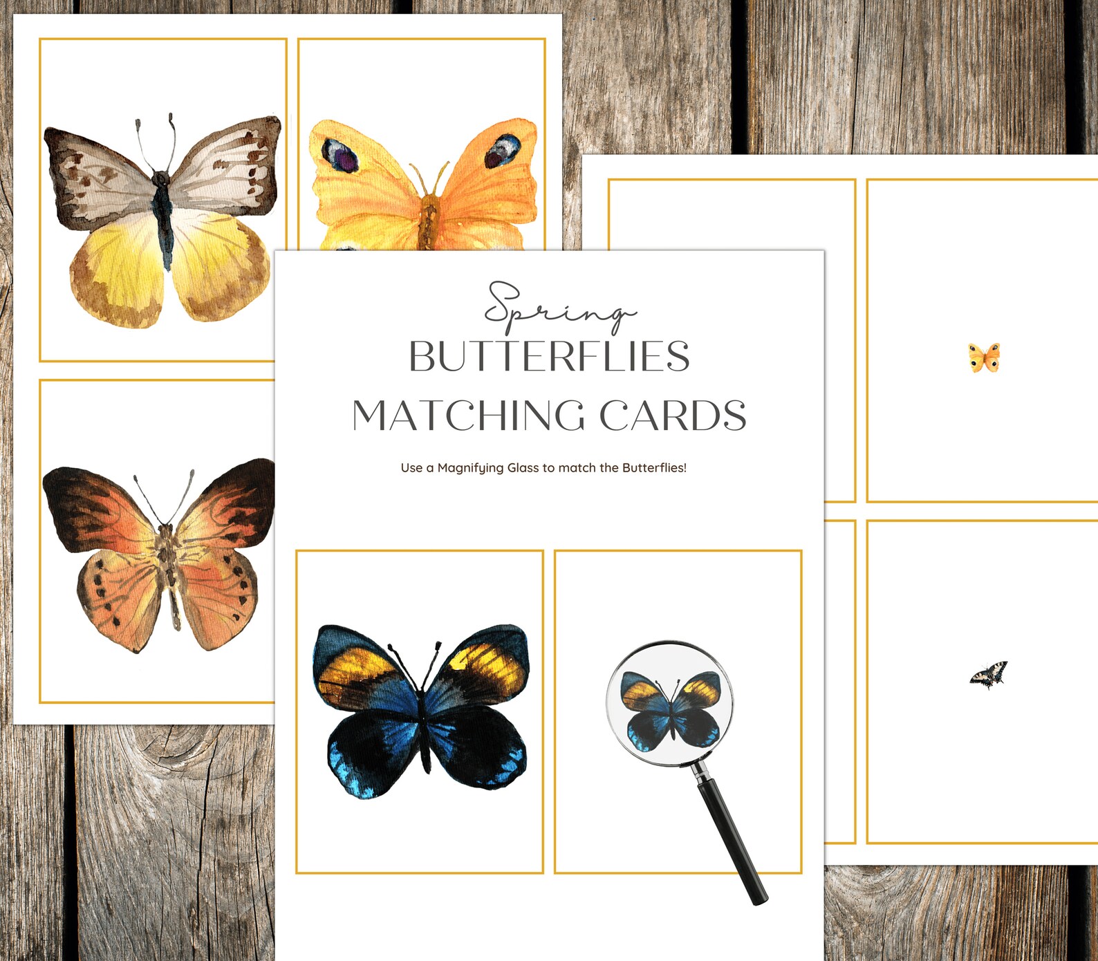 Swallowtail BUTTERFLY Unit Study Life Cycle Anatomy Nature - Etsy