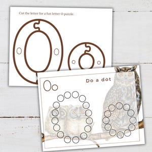 LETTER of the WEEK, O is for Owl, Letter O Activities, Alphabet ...