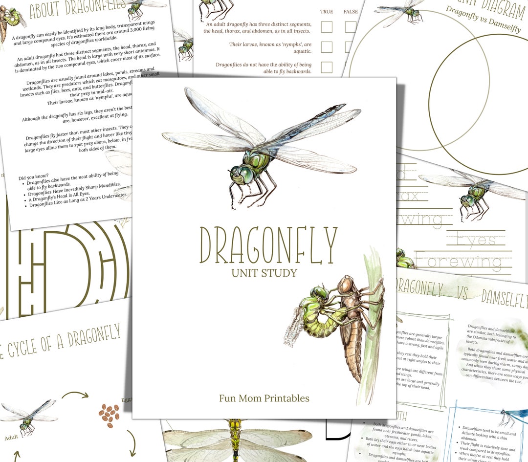 DRAGONFLY Unit Study, Life Cycle, Anatomy, Nature Study, Science ...