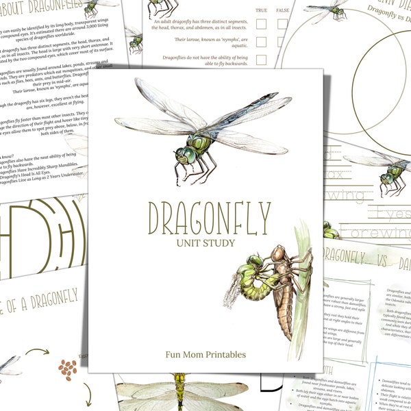 Dragonfly - Etsy UK