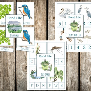 POND Unit Study Animals and Plants Unit Life Cycle Anatomy - Etsy