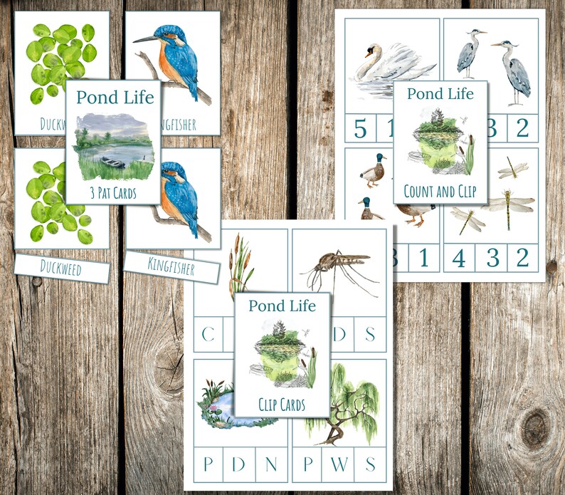 POND Unit Study Animals and Plants Unit Life Cycle Anatomy - Etsy