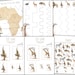 African SAVANNA Unit Study, Life Cycle, Anatomy, Nature Study, Science ...