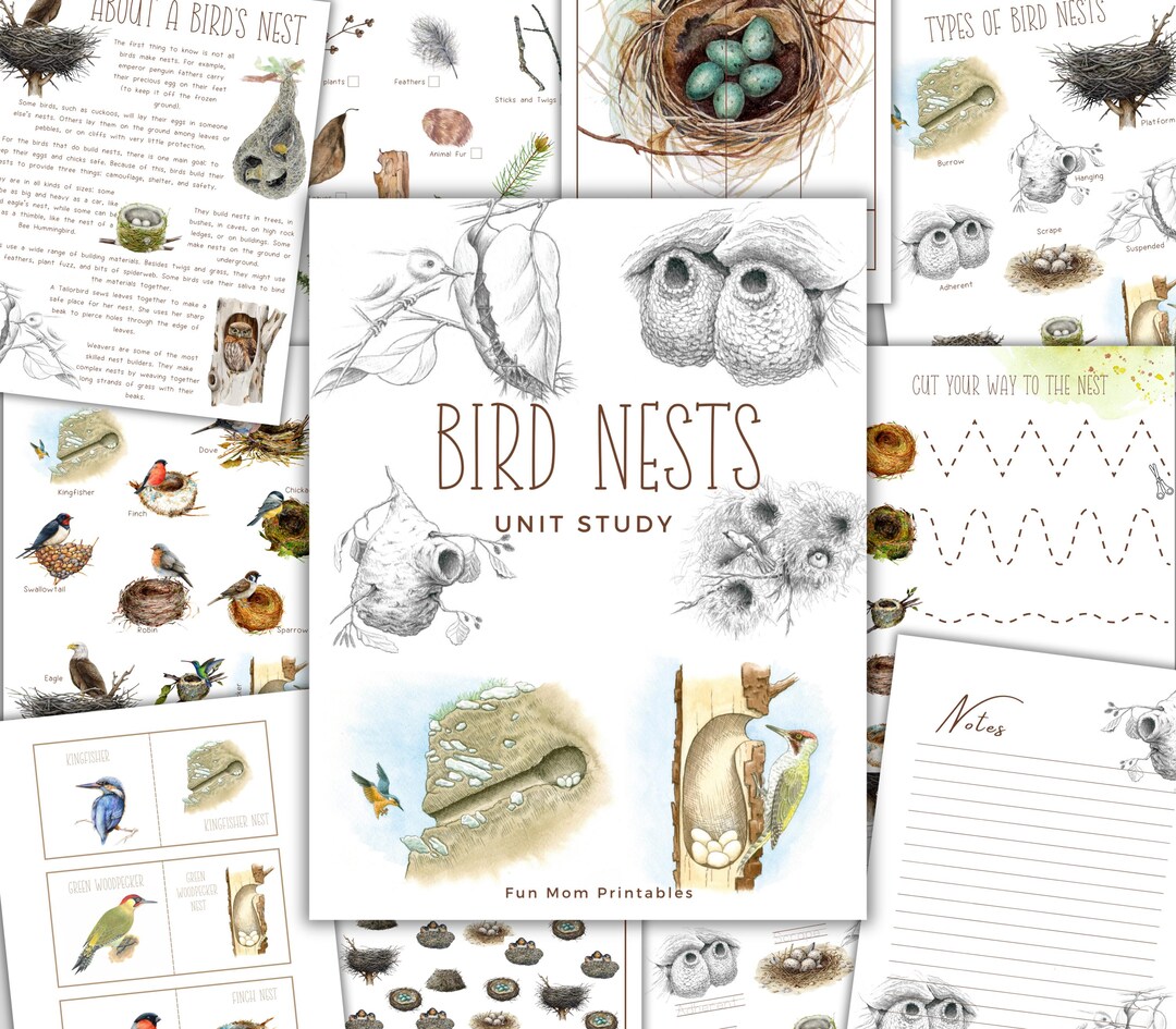 BIRD NESTS Unit Study, Nature Study, Science, Handwriting, Homeschool ...