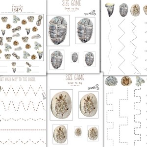 FOSSILS Unit Study, Anatomy, Nature Study, Science, Handwriting ...