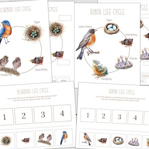 WINTER BIRDS Unit Study, Nature Study, Science, Handwriting, Homeschool ...
