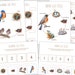 WINTER BIRDS Unit Study, Nature Study, Science, Handwriting, Homeschool ...