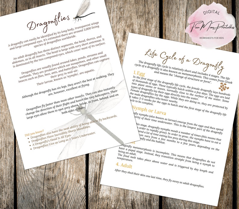 DRAGONFLY Unit Study Life Cycle Anatomy Nature Study - Etsy