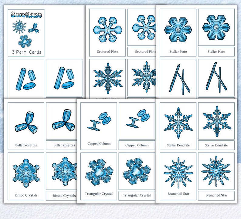 SNOWFLAKE Types and Cycle, Posters and 3-part Cards, Science ...