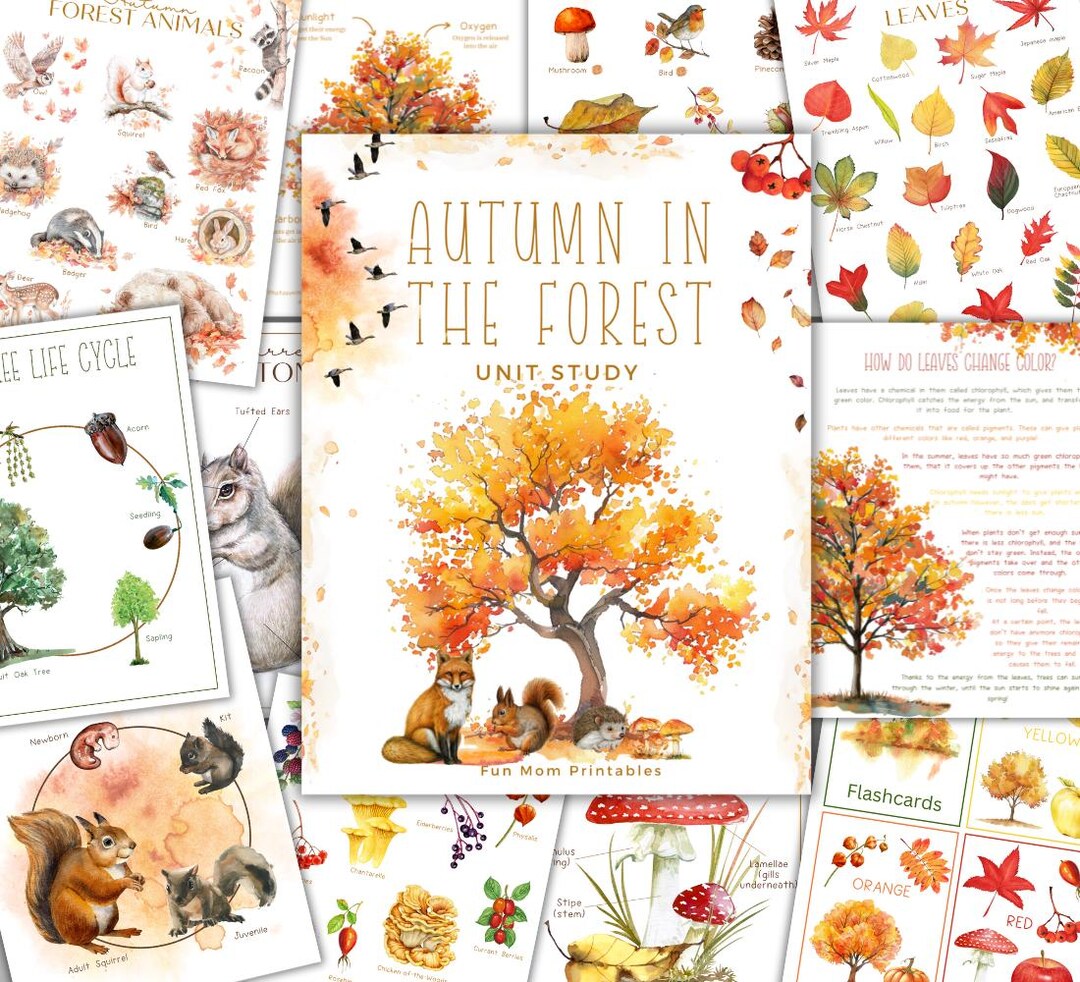 Autumn in the Forest Unit Study: Nature Study and Activities, Instant ...