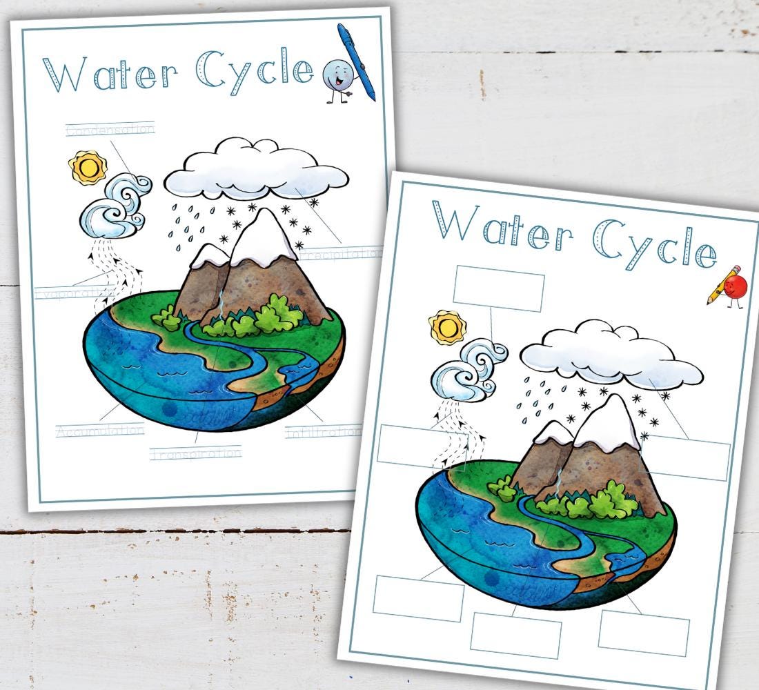 WATER CYCLE Mini Unit Study (printable PDF) - Etsy