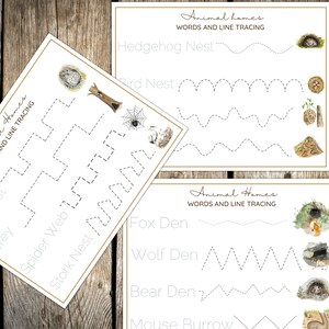 ANIMAL HOMES Unit Study, Nature Study, Science, Handwriting, Homeschool ...