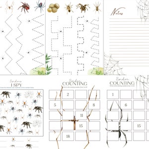 Spider Unit Study: Life Cycle, Anatomy, Homeschool Printable (instant ...