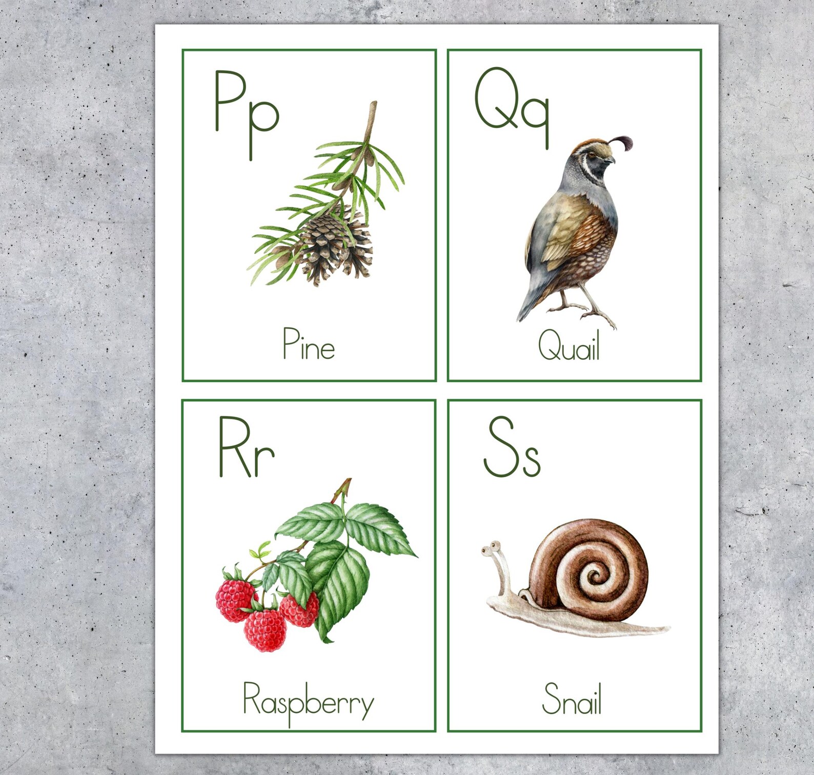 FOREST NATURE Alphabet Flashcards. Watercolor Letter Cards. Kids ...
