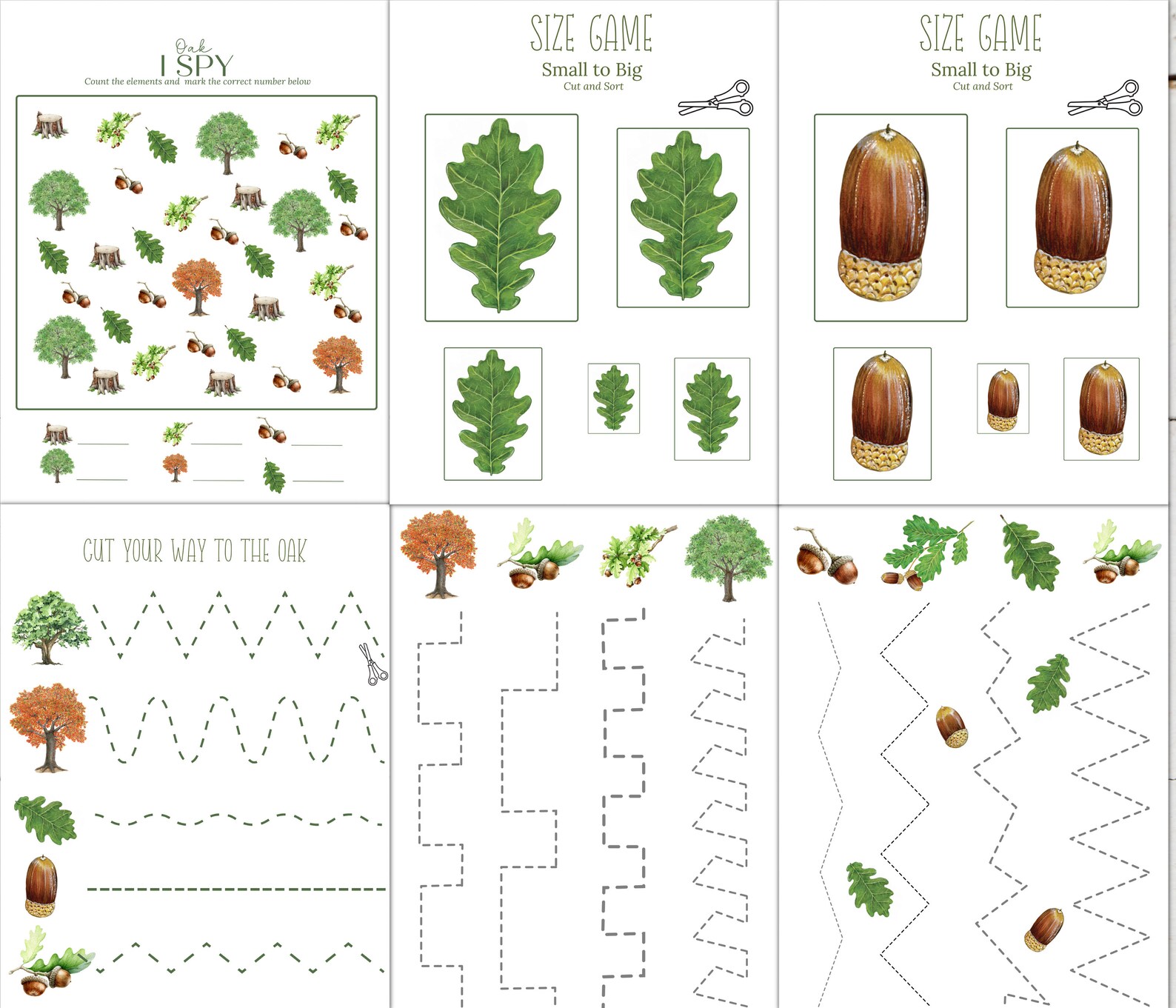 OAK Unit Study, Life Cycle, Anatomy, Nature Study, Science, Handwriting ...