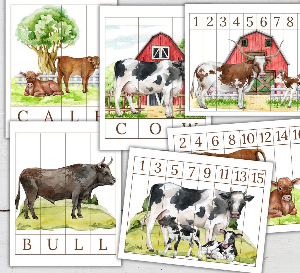 Cows Unit Study: Cattle Life Cycle, Anatomy (homeschool Printable) - Etsy