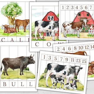 COWS Unit Study, Cattle, Life Cycle, Anatomy, Farm Animals, Nature ...