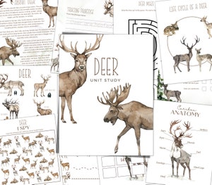 Winter Animals Unit Nature Study Homeschool Printable Prek - Etsy Canada