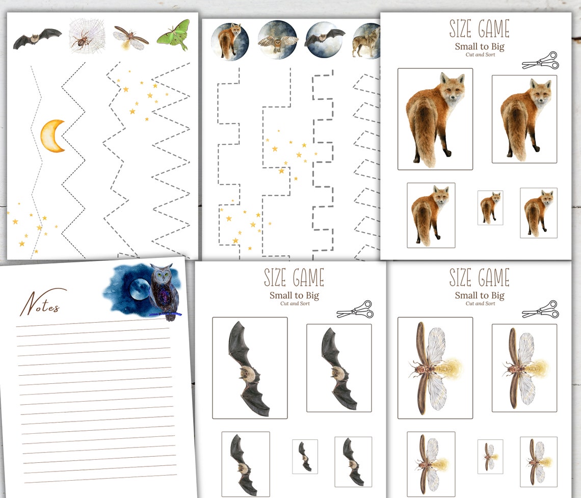 Nocturnal Animals Unit Study: Anatomy, Life Cycle, & Handwriting ...