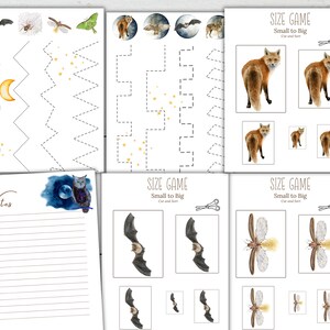 Nocturnal Animals Unit Study: Anatomy, Life Cycle, & Handwriting ...