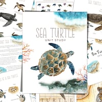 Sea Turtle Unit Study All About Sea Turtles Anatomy Sea Turtle Life ...