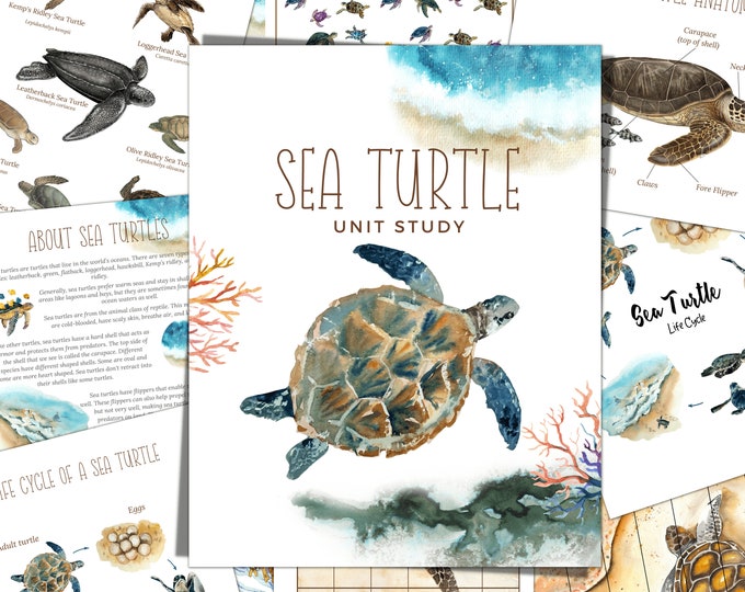 Life Cycle of a Sea Turtle Letter and Word Tracing / Handwriting ...