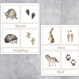 WOODLAND ANIMALS Tracks, Flashcards and Matching Activities, Instant ...