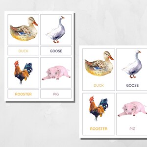 Farm Animals Montessori Cards: Printable Three Part Cards (PDF Download ...