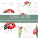 LADYBUG Anatomy, Posters Labeling and Tracing Activities, Grasshopper ...