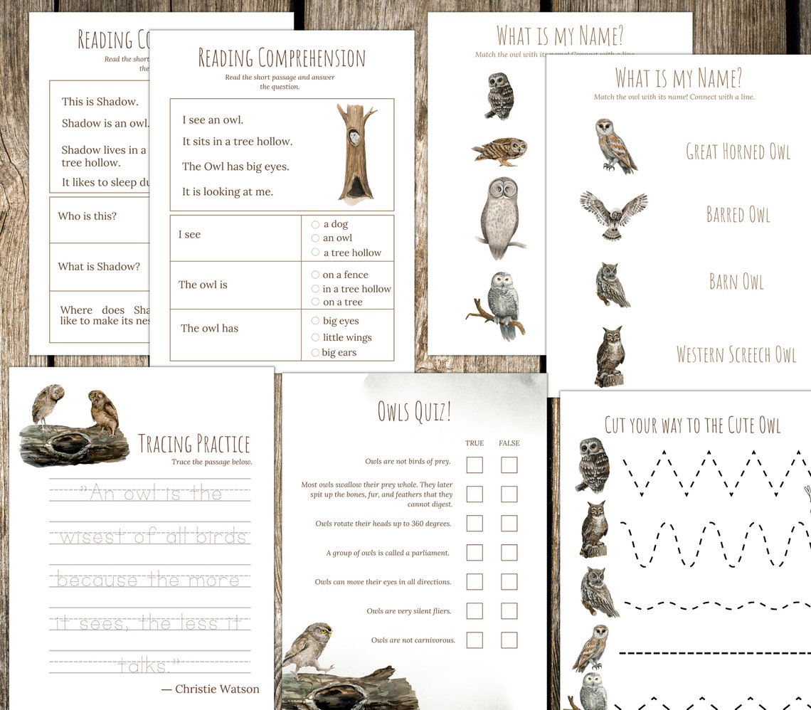 OWLS Unit Study Life Cycle Anatomy Nature Study Science - Etsy