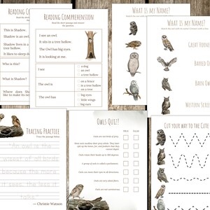 OWLS Unit Study, Life Cycle, Anatomy, Nature Study, Science ...