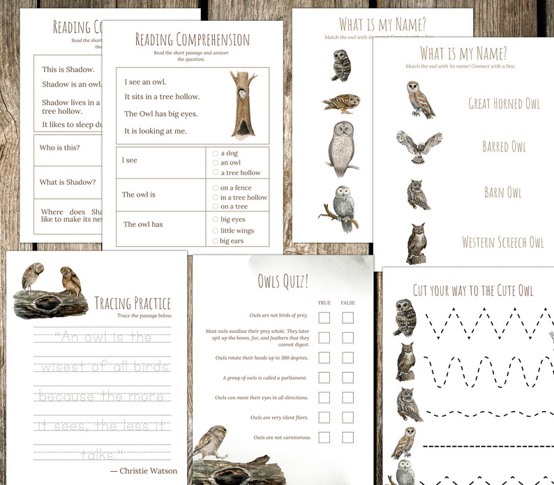 OWLS Unit Study Life Cycle Anatomy Nature Study Science - Etsy