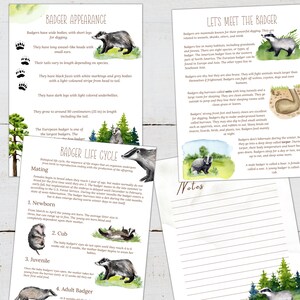 Badger Unit Study: Homeschool Science, Anatomy & Life Cycle (printable ...