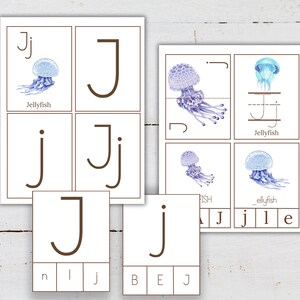 LETTER of the WEEK, J is for Jellyfish, Letter J Activities, Alphabet ...