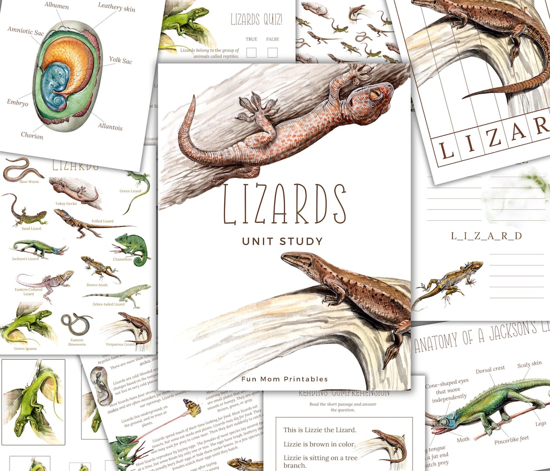 LIZARD Unit Study, Anatomy, Nature Study, Science, Handwriting ...
