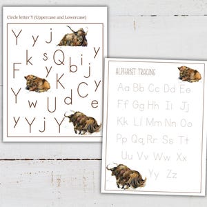 LETTER of the WEEK, Y is for Yak, Letter Y Activities, Alphabet ...