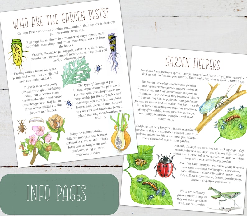Garden Pests Unit Study: Homeschool Science (instant Download) - Etsy
