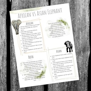 AFRICAN Vs ASIAN Elephant Venn Diagram Activity, Homeschool, Montessori ...