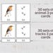 Animal Tracks Poster Set: Nature Study Cards & Puzzles (digital ...