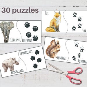 Animal Tracks Poster Set: Nature Study Cards & Puzzles (digital ...