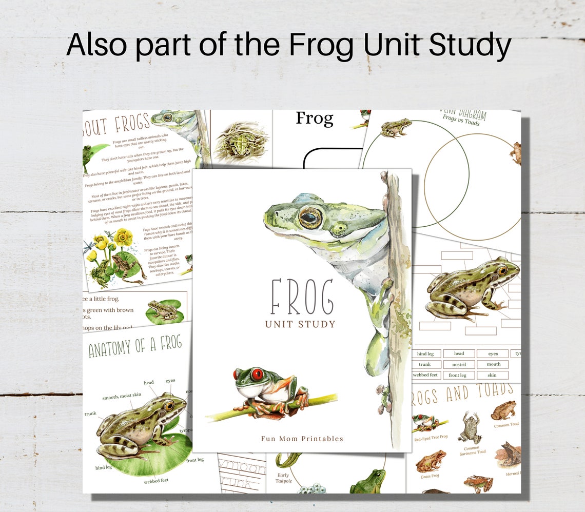 FROG Anatomy, Poster, Labeling Activity, Fact Cards and Tracing ...