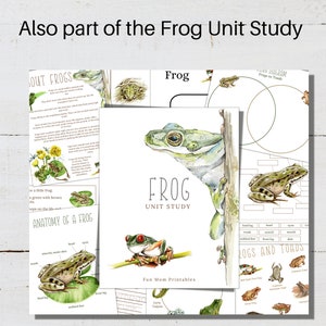 FROG Anatomy, Poster, Labeling Activity, Fact Cards and Tracing ...