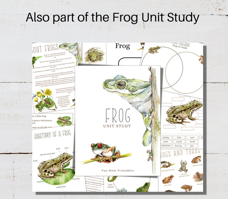 FROG Anatomy Poster Labeling Activity Fact Cards and - Etsy