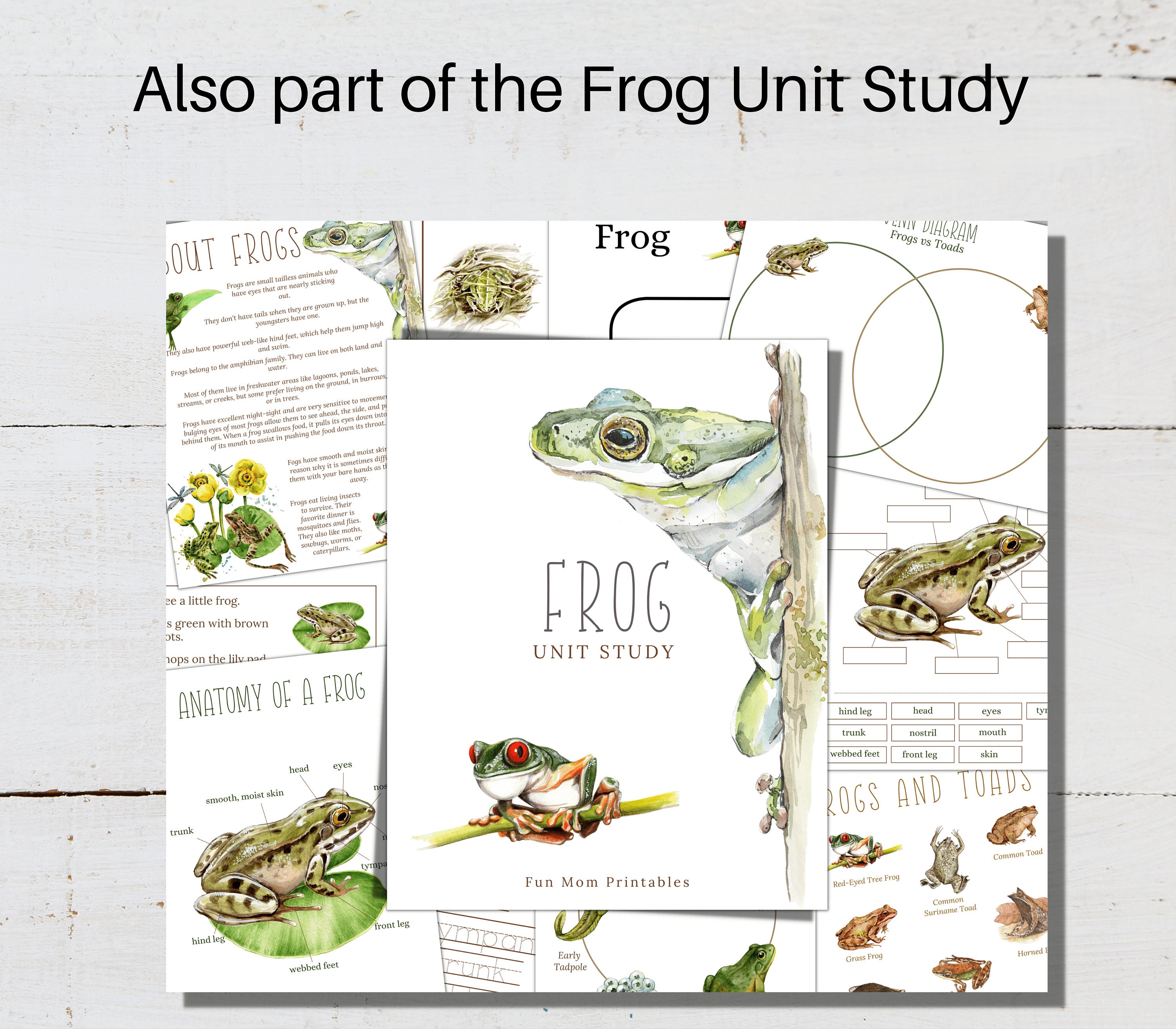 FROG Anatomy, Poster, Labeling Activity, Fact Cards and Tracing ...